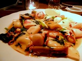 Toto, Spot-On Beautiful Food - Eating Cooking Fooding